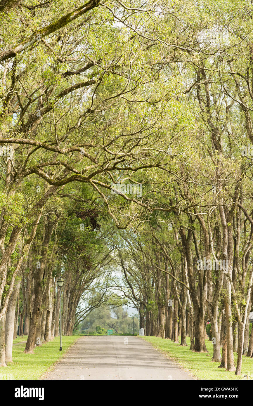 Walkway in Park Stock Photo - Alamy