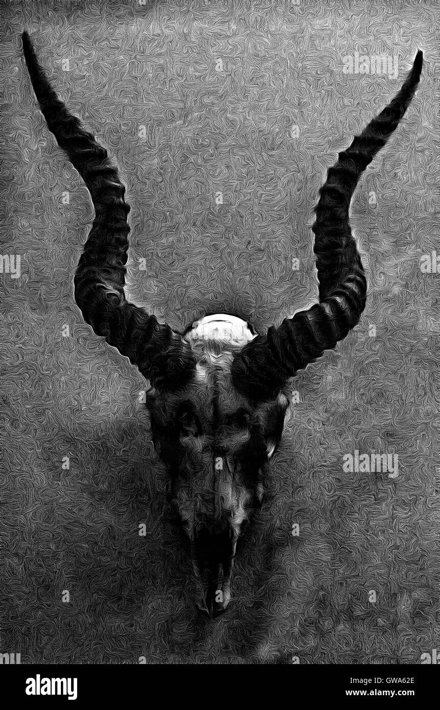 Dead antilope hi-res stock photography and images - Alamy