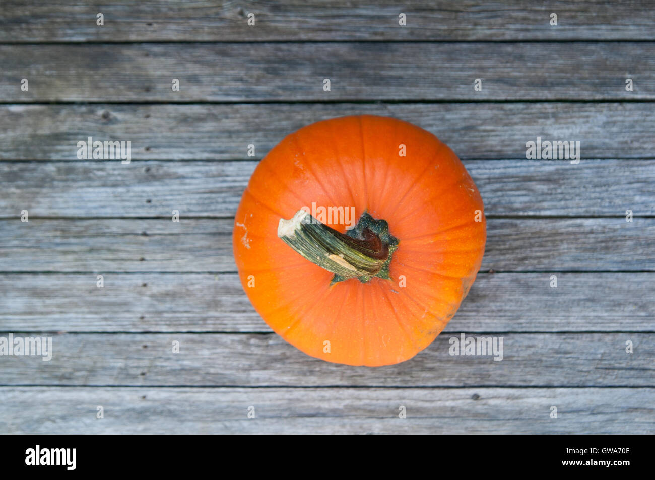bright orange pumpkin on rustic wooden boards Stock Photo - Alamy