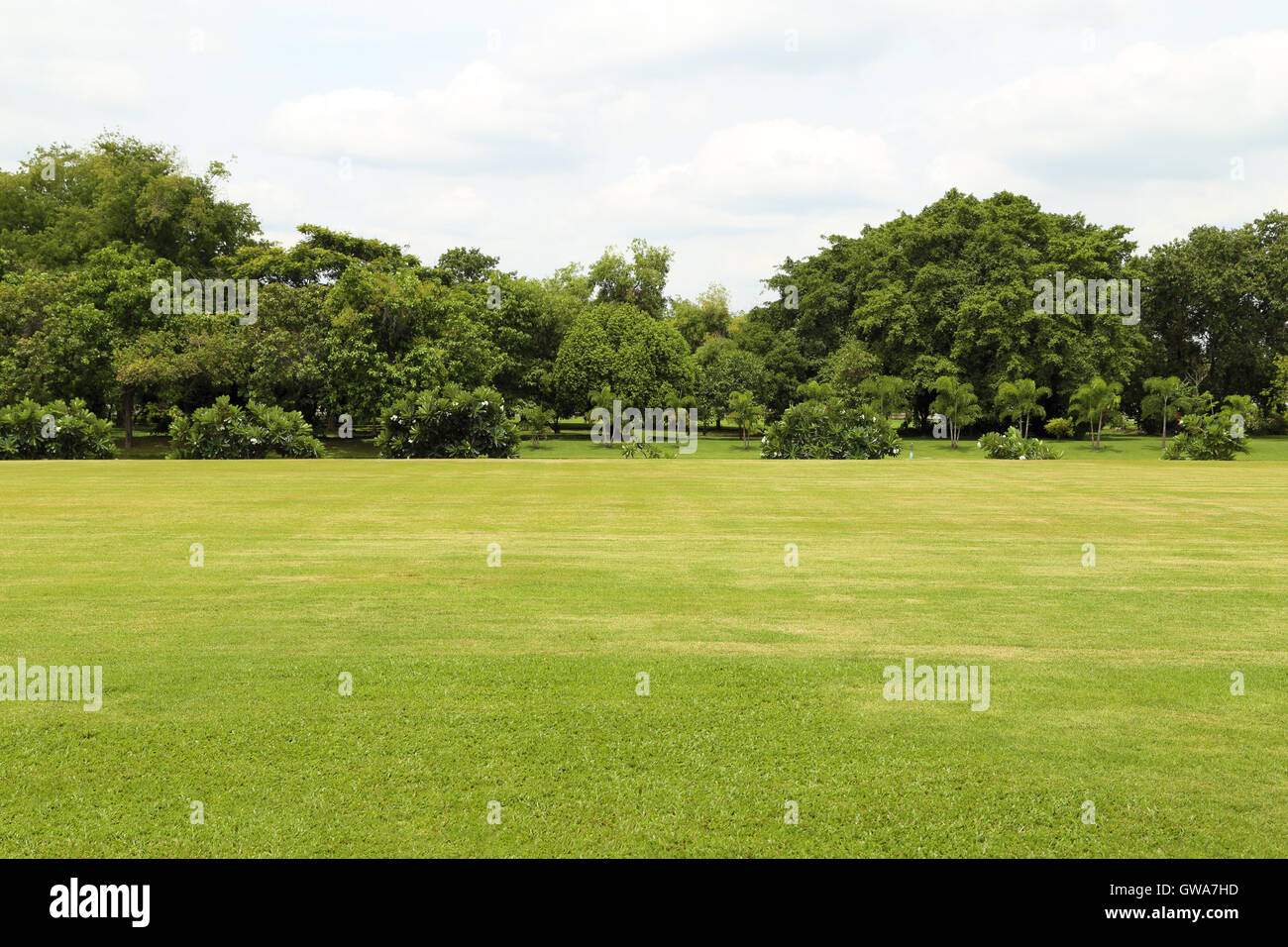 green grass field Stock Photo - Alamy