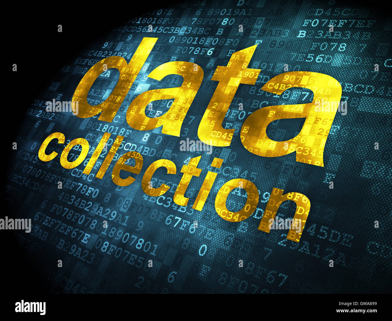 Information concept: Data Collection on digital background Stock Photo ...