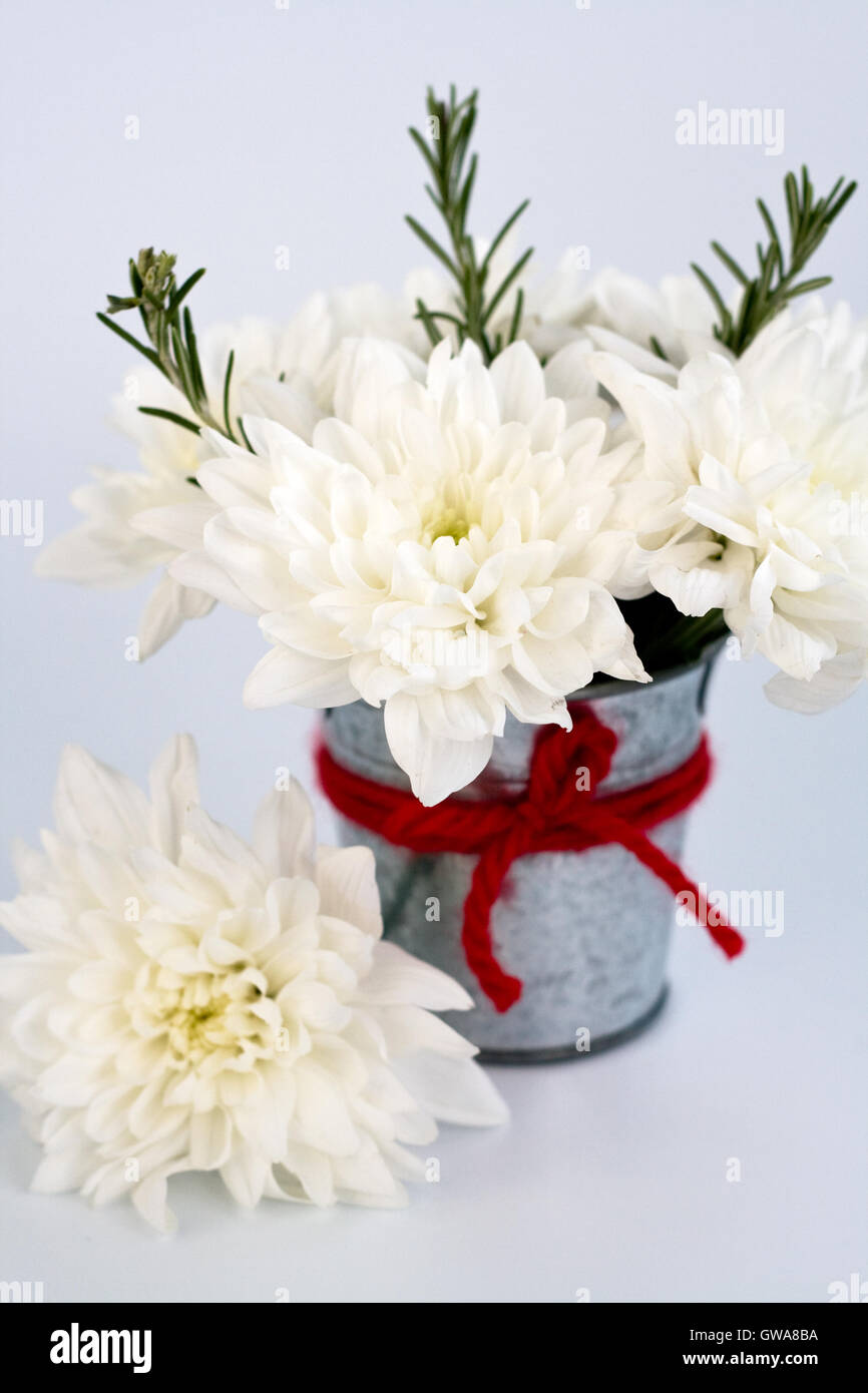 Rosemary plant bucket hi-res stock photography and images - Alamy