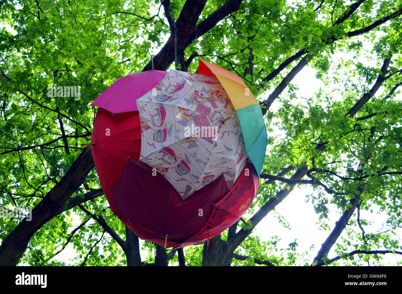 bunch of colorful umbrellas on a tree Stock Photo - Alamy