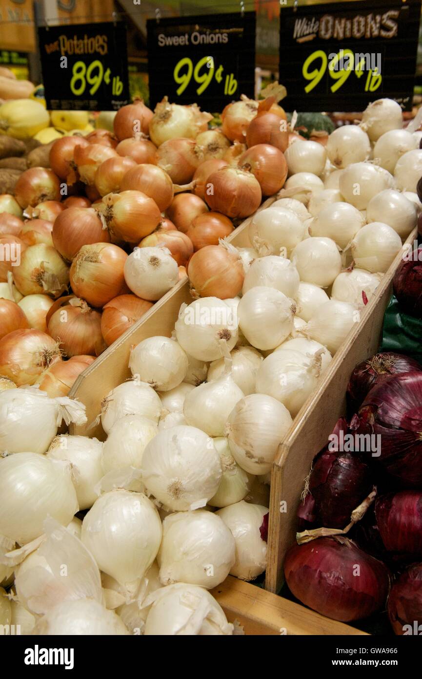 Grocery Store Bins Full of Yellow, White and Red Onions Stock Photo - Alamy