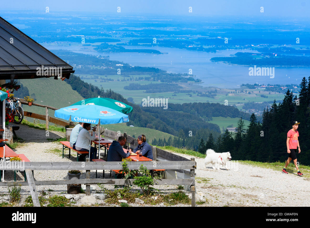 Chiemgauer Alpen, Chiemgau Alps: mountain hut restaurant Goriaalm, view ...