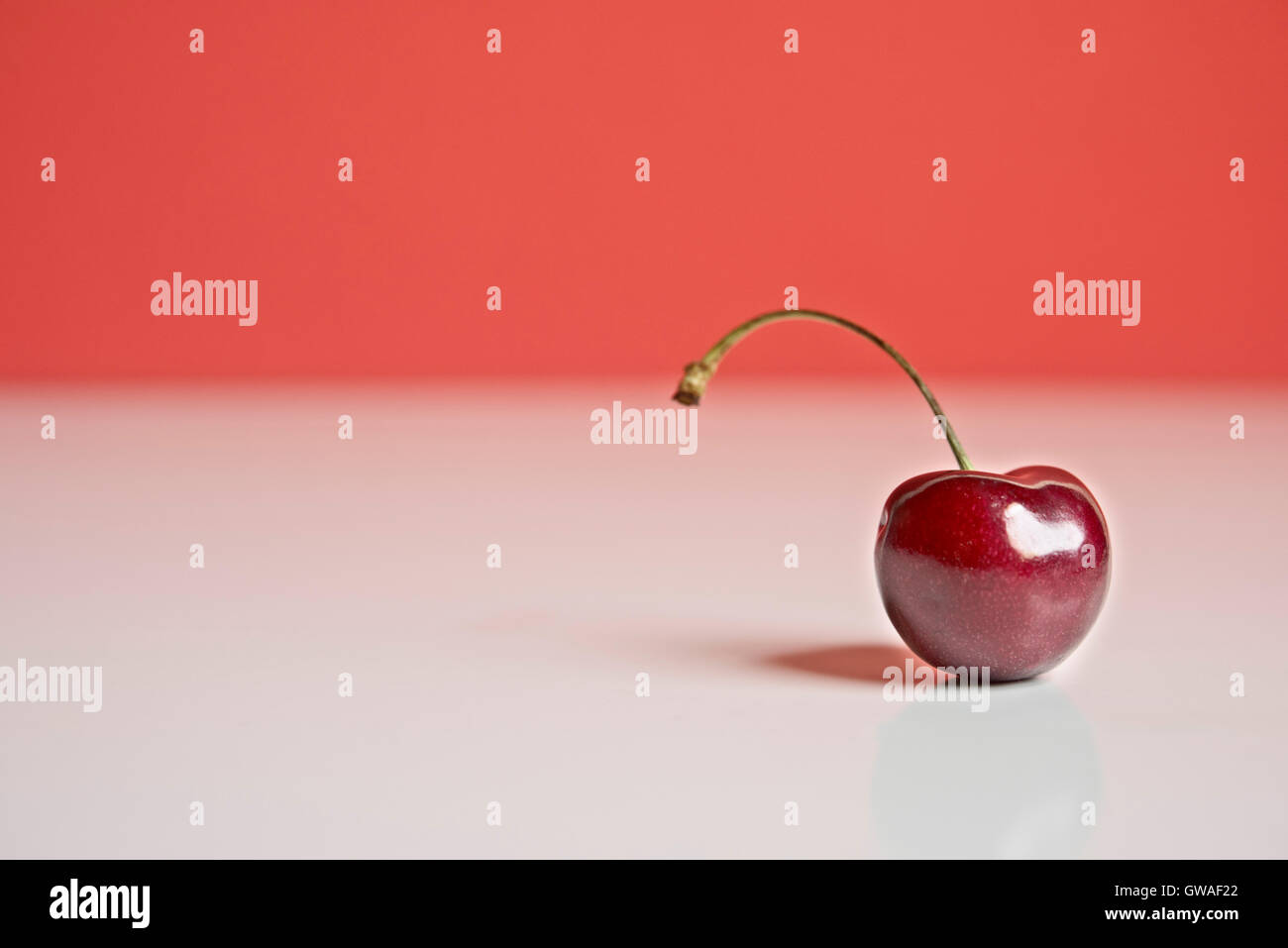 Single cherry on white surface and red background Stock Photo - Alamy