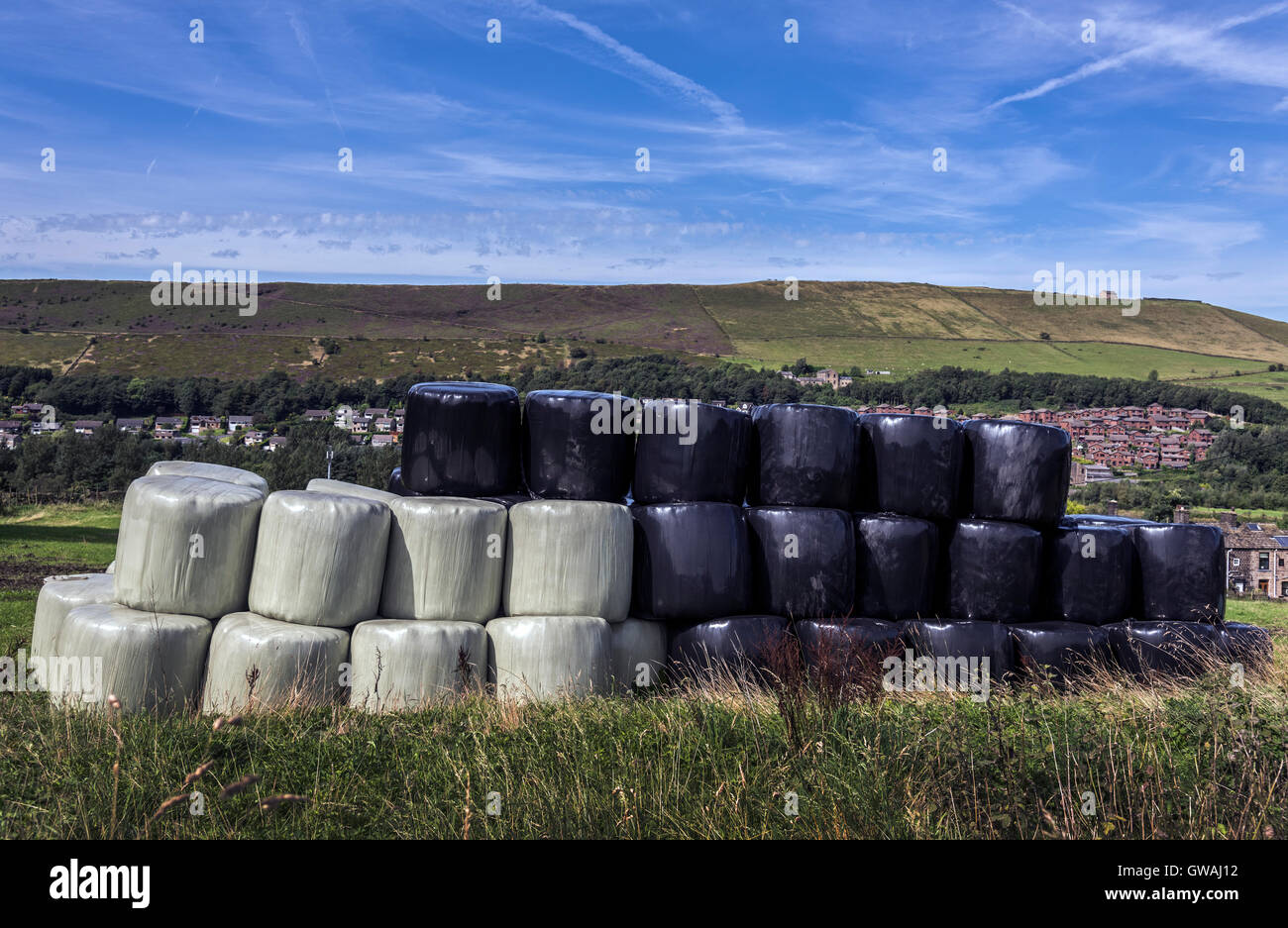 Wrapped hay bails Stock Photo - Alamy