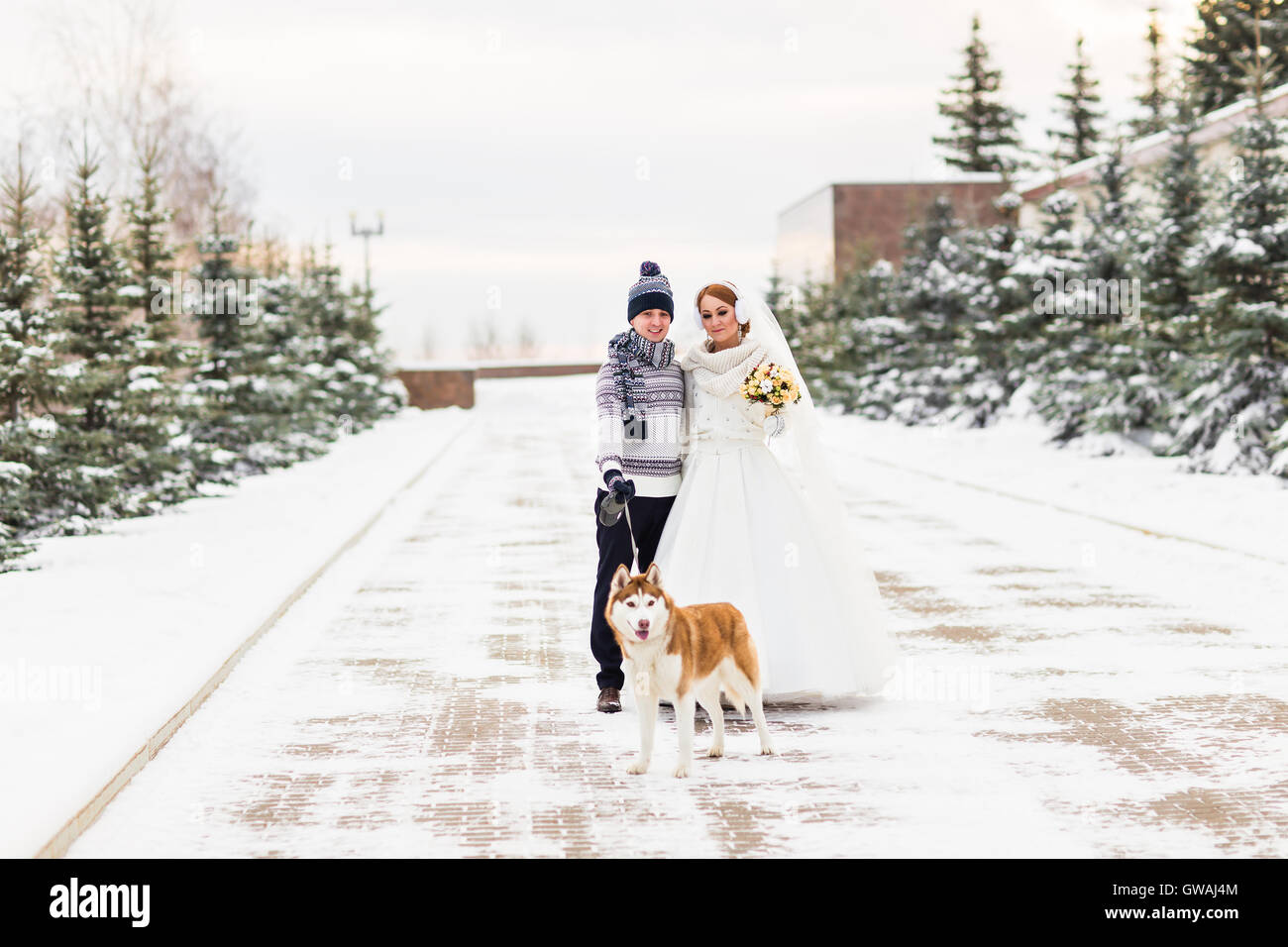 Family with huskies in snow hi-res stock photography and images - Alamy