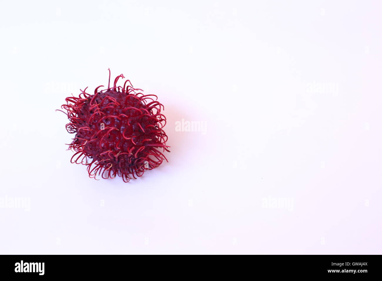 Single rambutan against a white background Stock Photo - Alamy