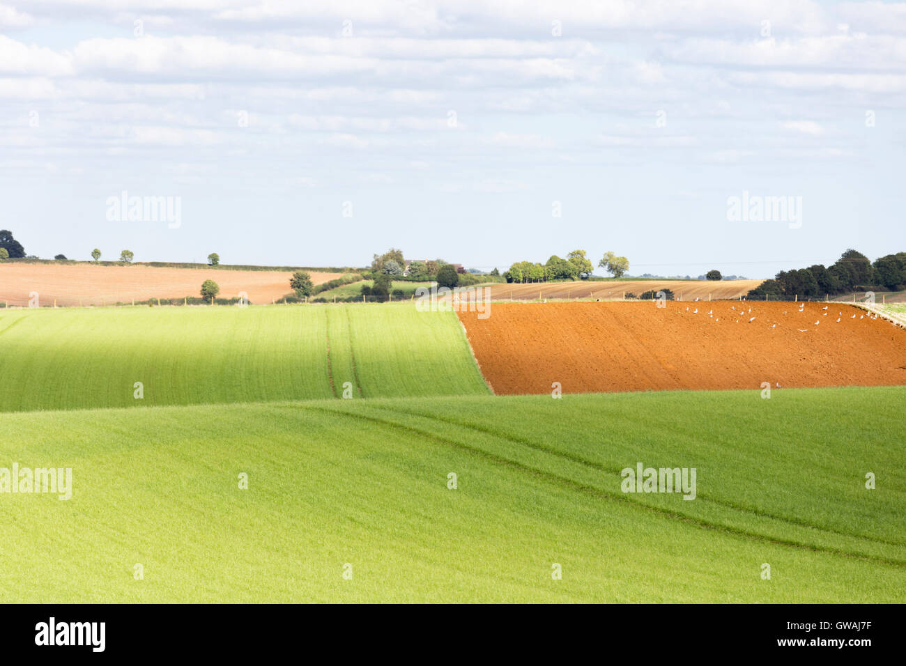 Northamptonshire countryside, East Midlands, England, UK Stock Photo ...