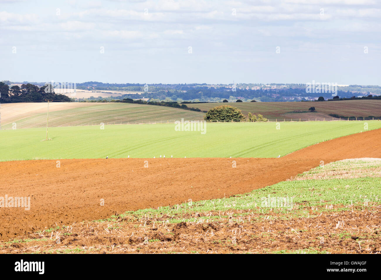 Northamptonshire countryside hi-res stock photography and images - Alamy