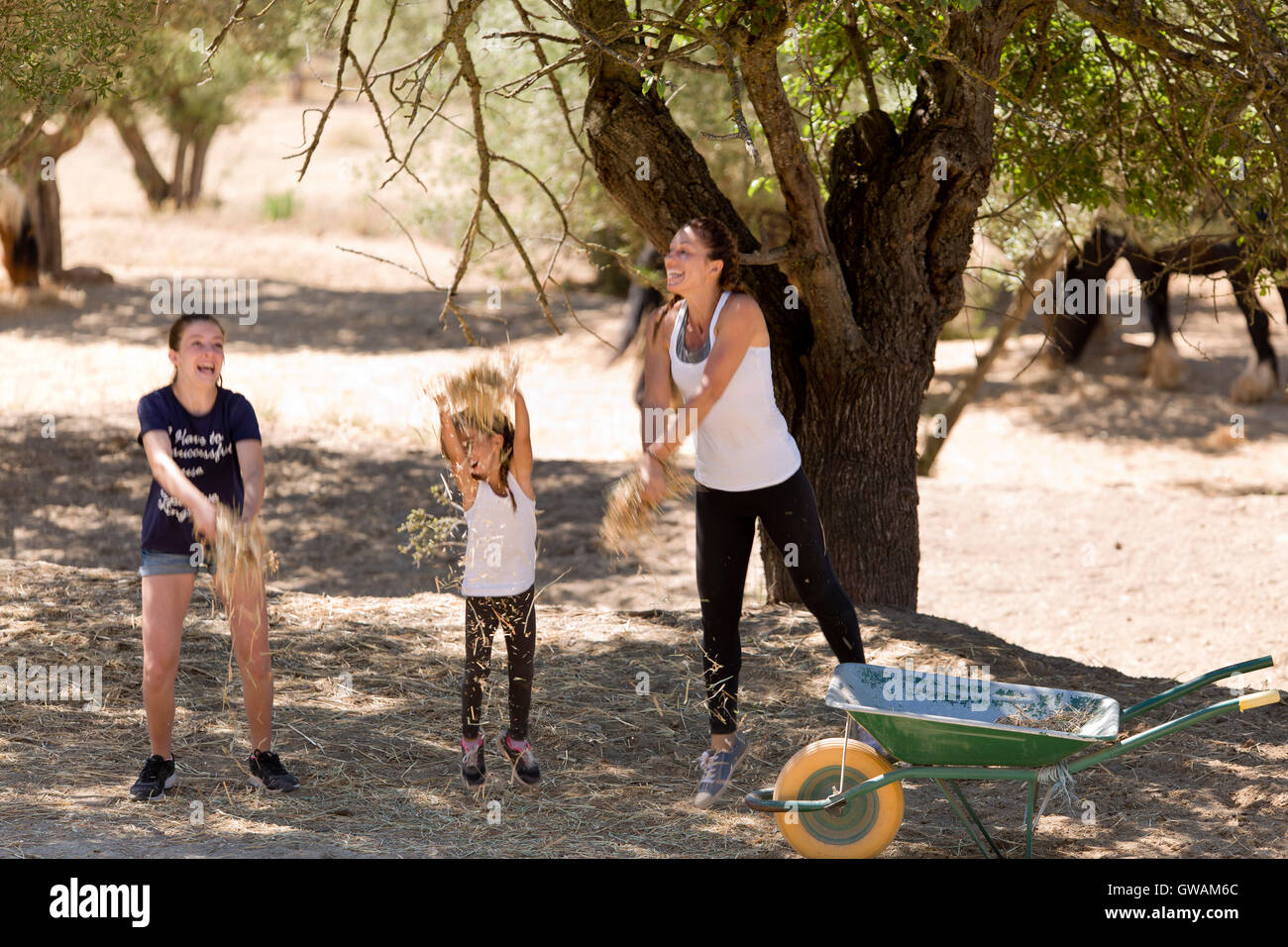 Girls playing on a horse farm Stock Photo - Alamy