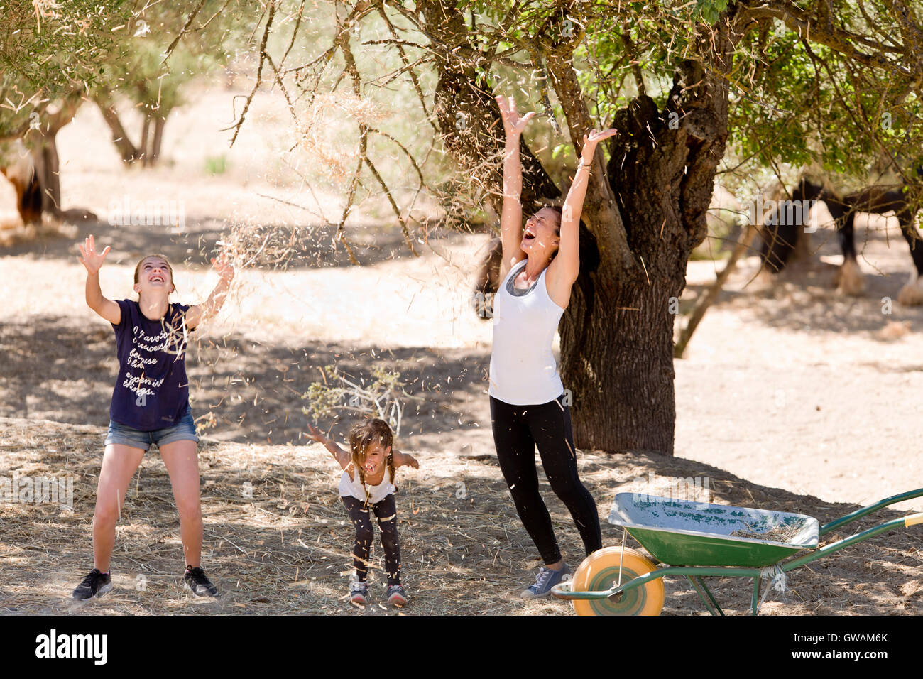 Girls playing on a horse farm Stock Photo - Alamy