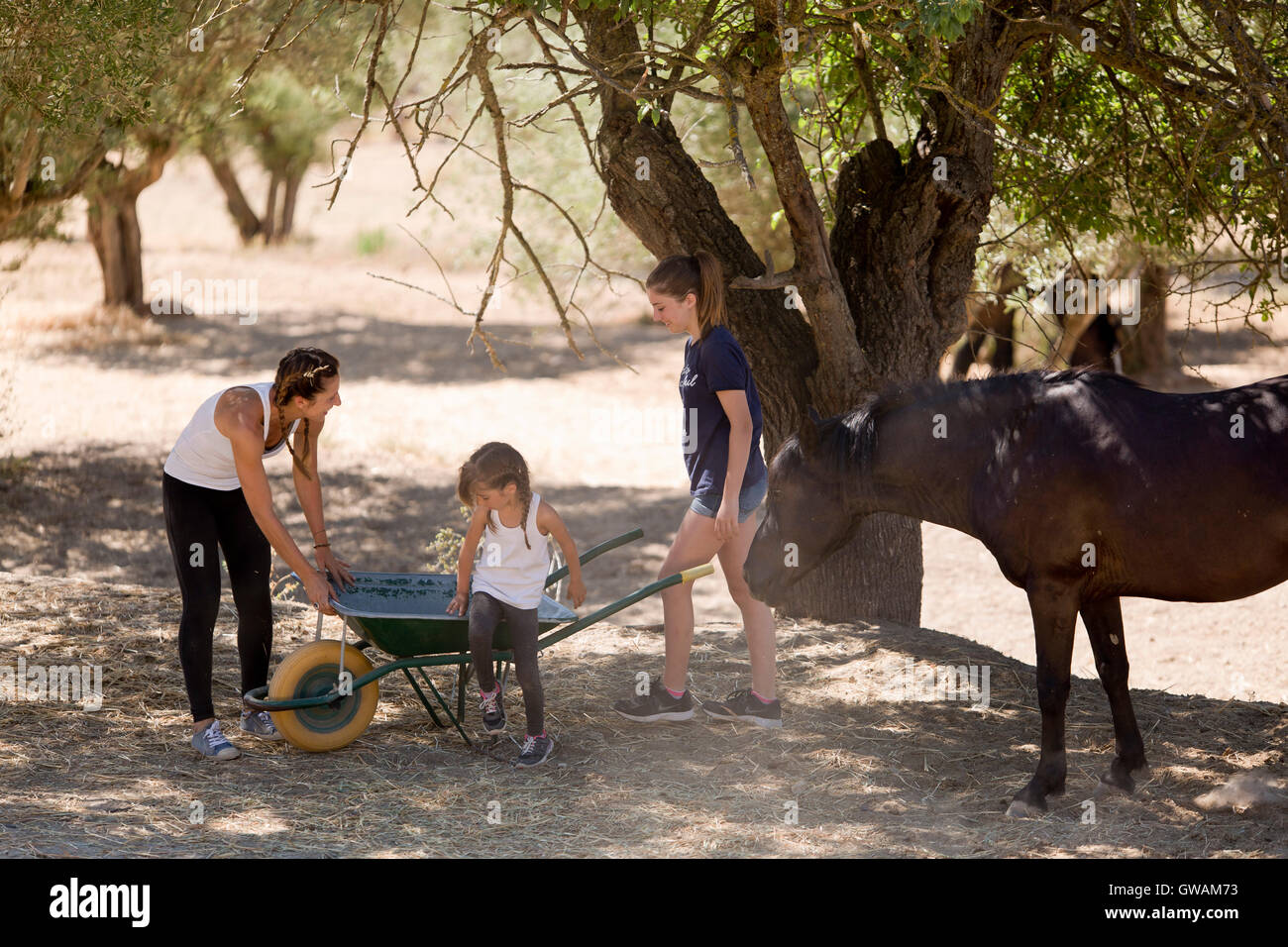 Girls playing on a horse farm Stock Photo - Alamy