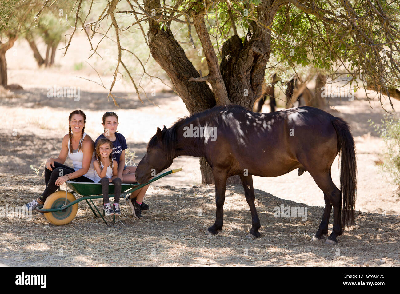 Girls playing on a horse farm Stock Photo - Alamy