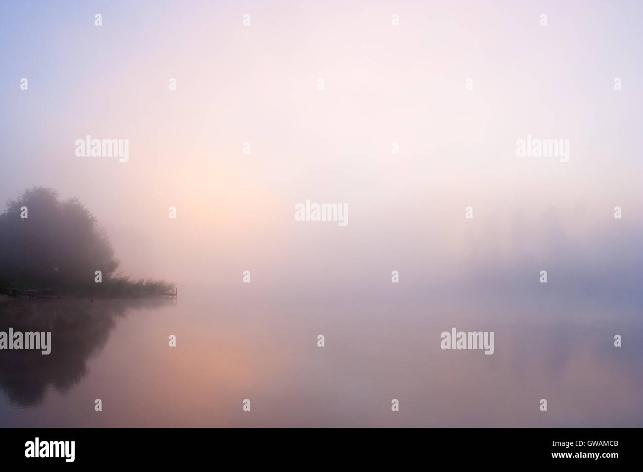 Morning nature foggy misty scene (landscape): sky, sunrise and trees on ...