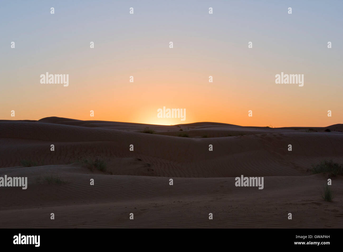 Wahiba Sands desert in Oman. Sand, dunes and a magical scenery Stock ...