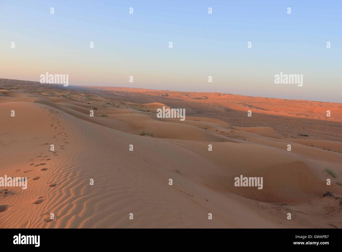 Wahiba Sands desert in Oman at sunset Stock Photo - Alamy
