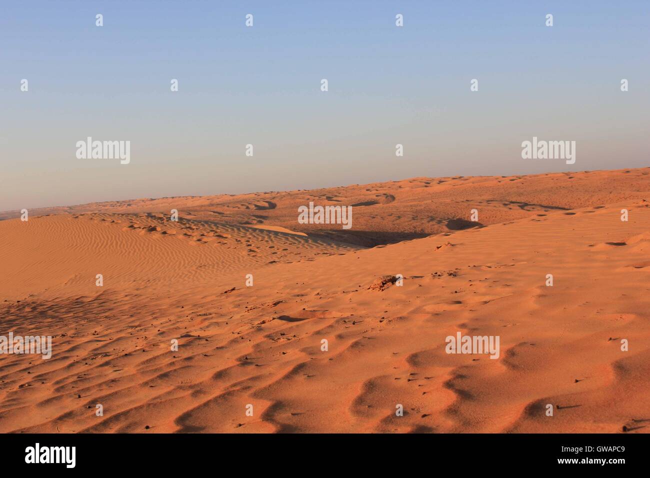 Wahiba Sands desert in Oman. Sand, dunes and a magical scenery Stock ...