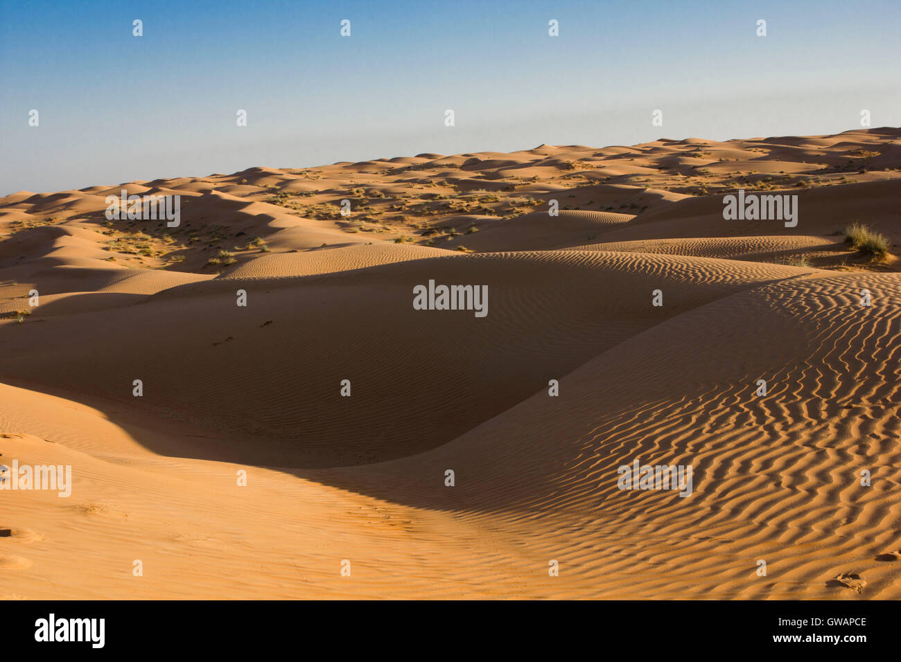 Wahiba Sands desert in Oman. Sand, dunes and a magical scenery Stock ...