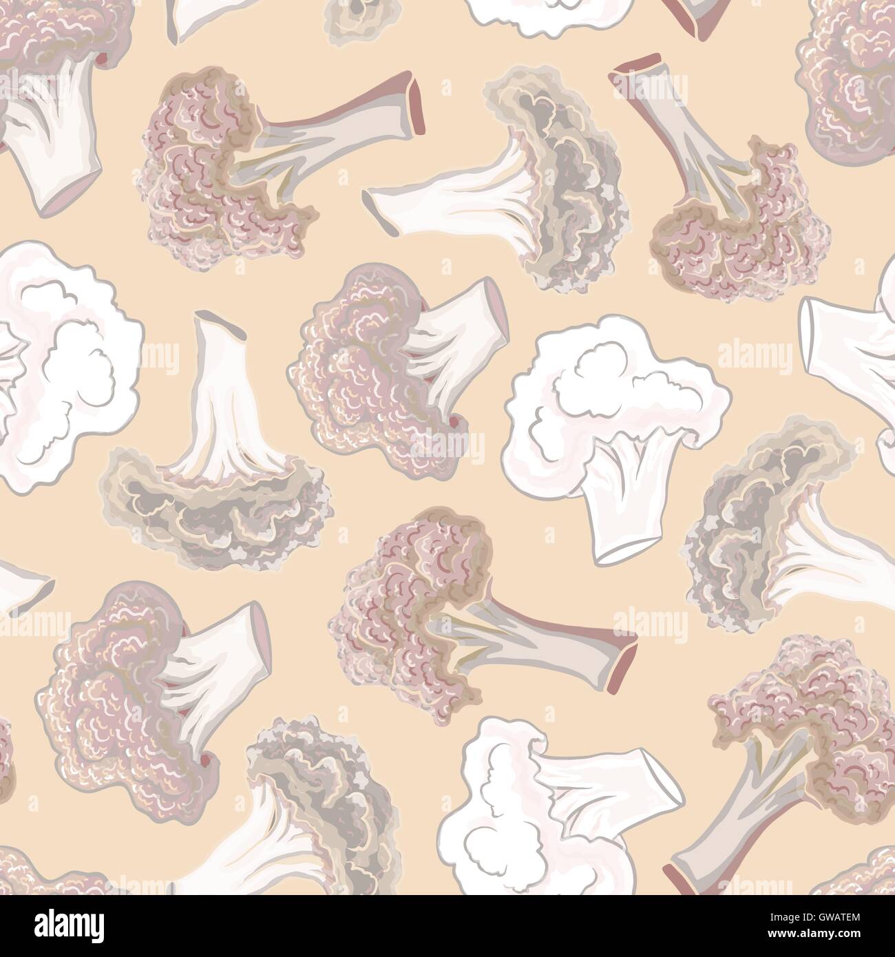 Seamless pattern cauliflower Stock Vector Image & Art - Alamy