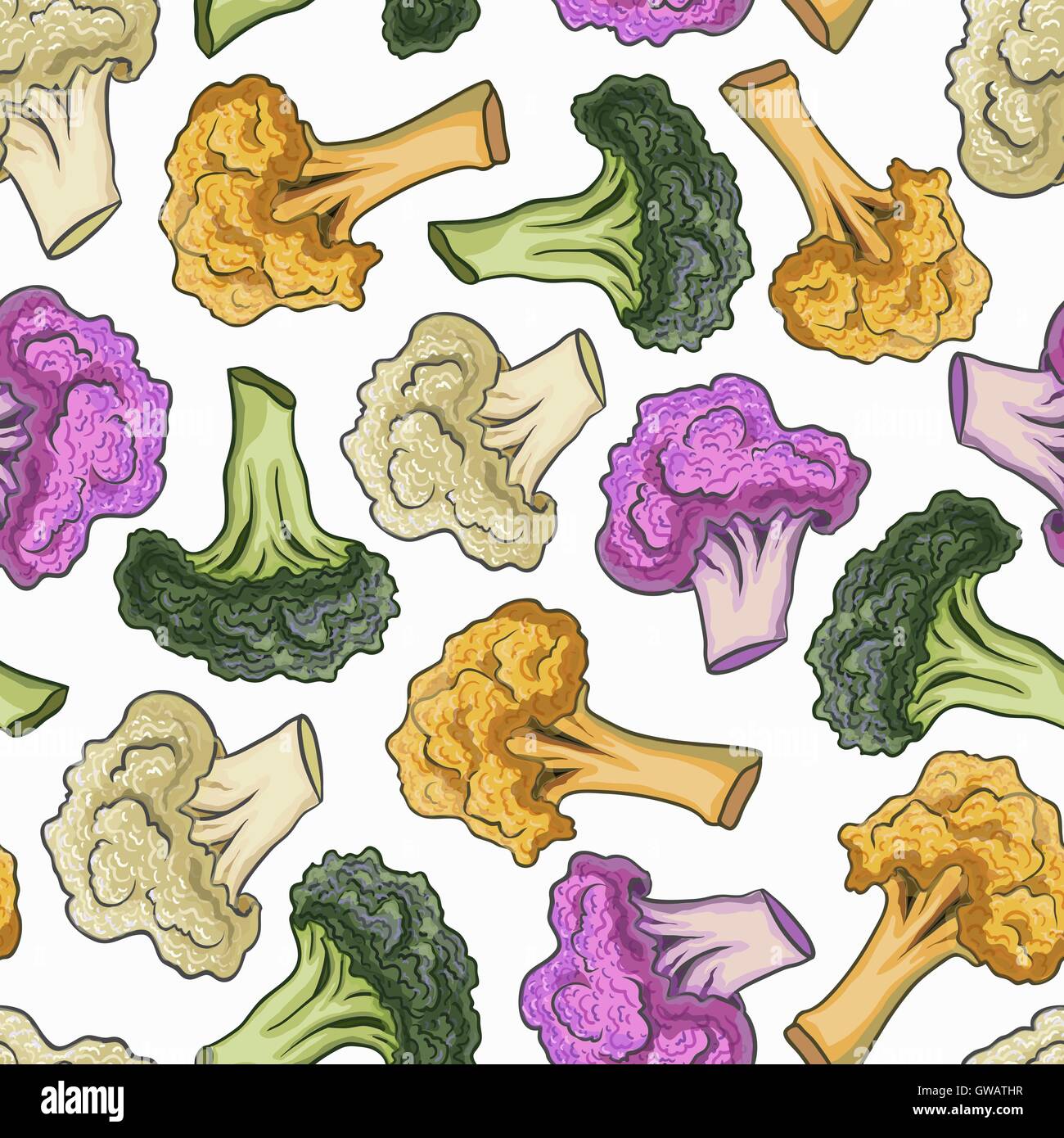Seamless pattern cauliflower Stock Vector Image & Art - Alamy