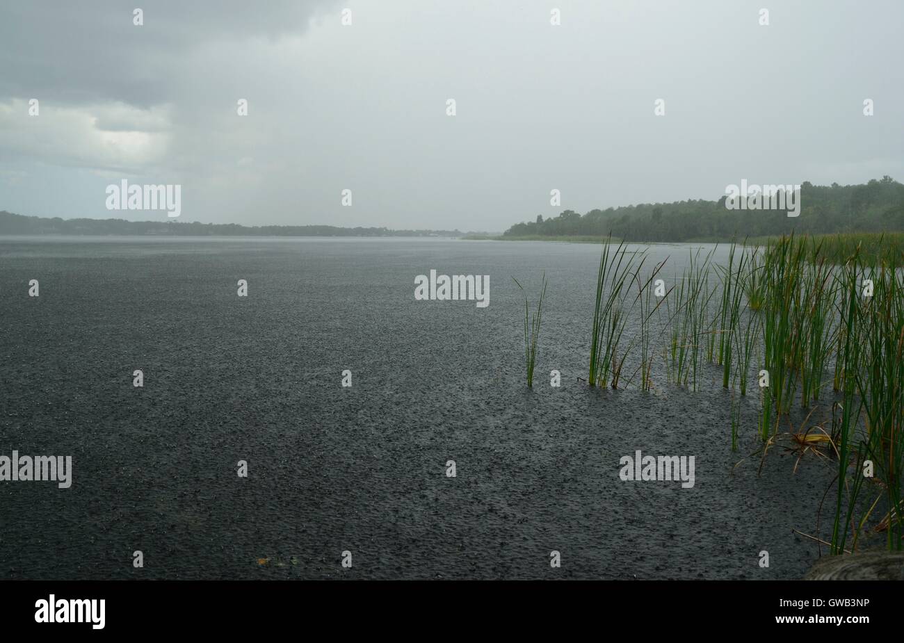 Heavy rain showers hi-res stock photography and images - Alamy