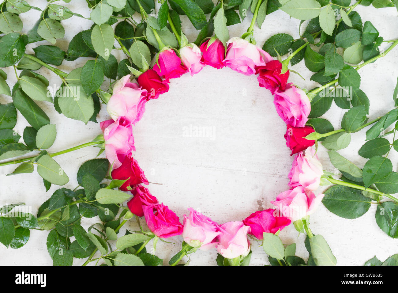 Pink fresh roses Stock Photo - Alamy