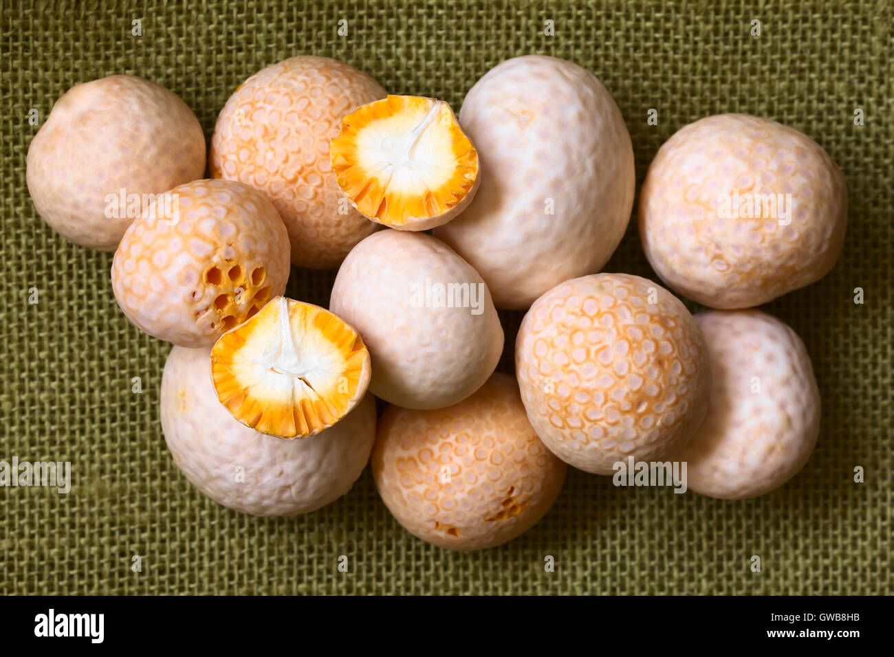 Cyttaria hi-res stock photography and images - Alamy