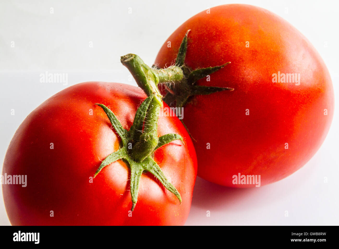 Two Tomatoes on the vine on a white background Stock Photo - Alamy
