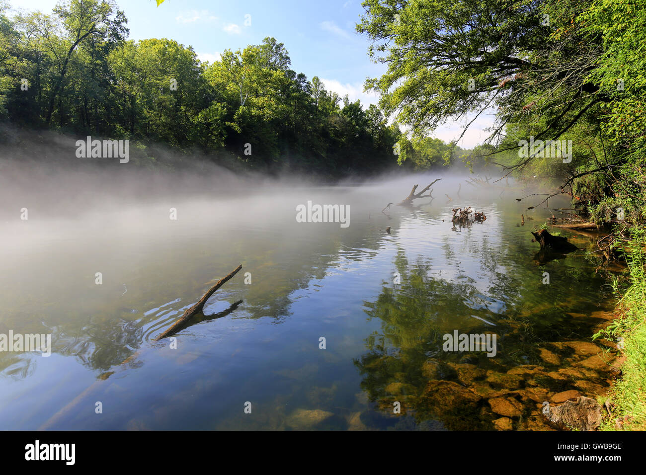 River covered with mist in early morning with trees on the bank Stock ...