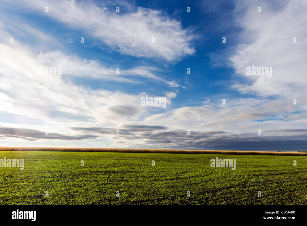 Farm fields and open sky with clouds in eastern Colorado; USA Stock ...