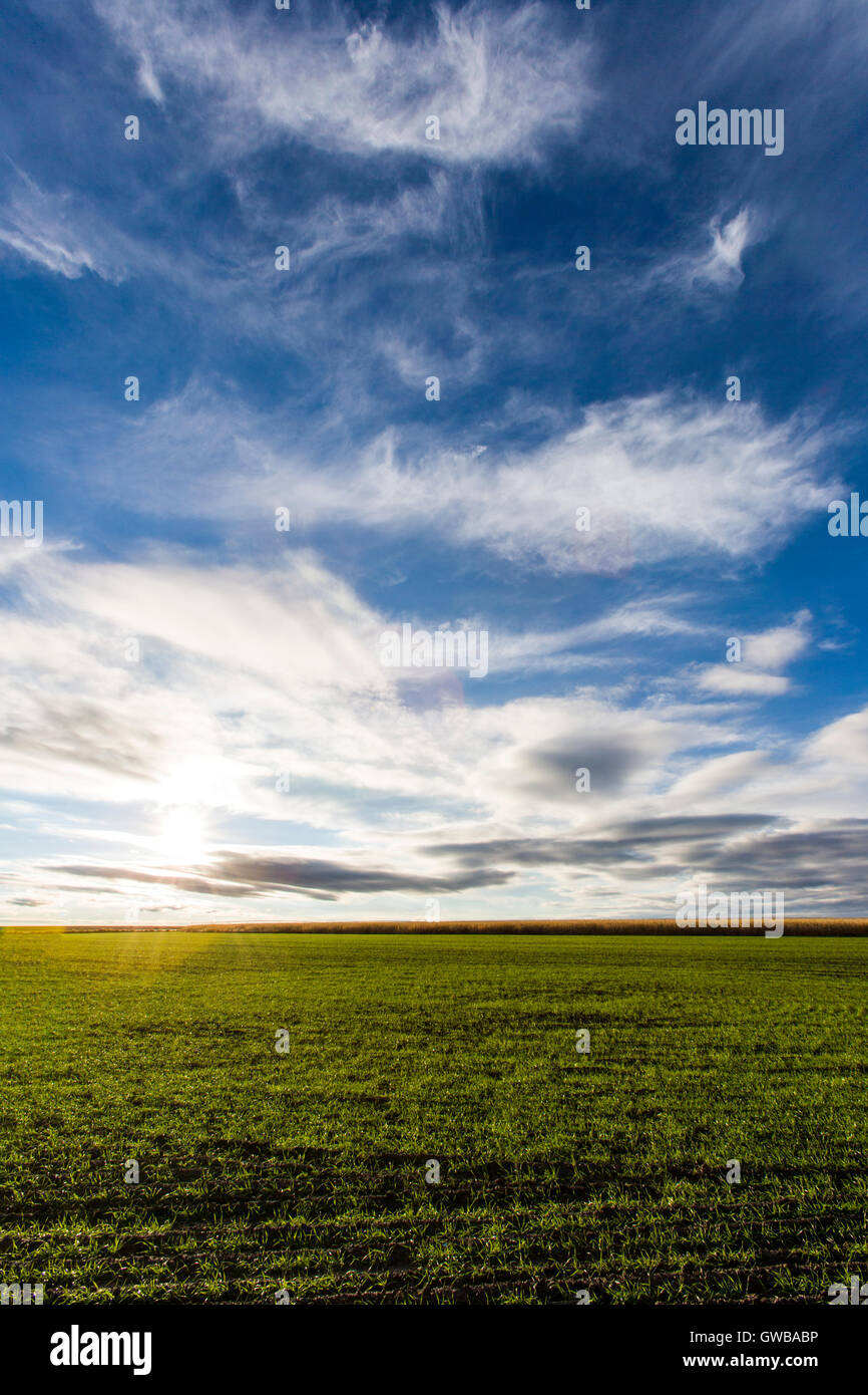 Farm fields and open sky with clouds in eastern Colorado; USA Stock ...