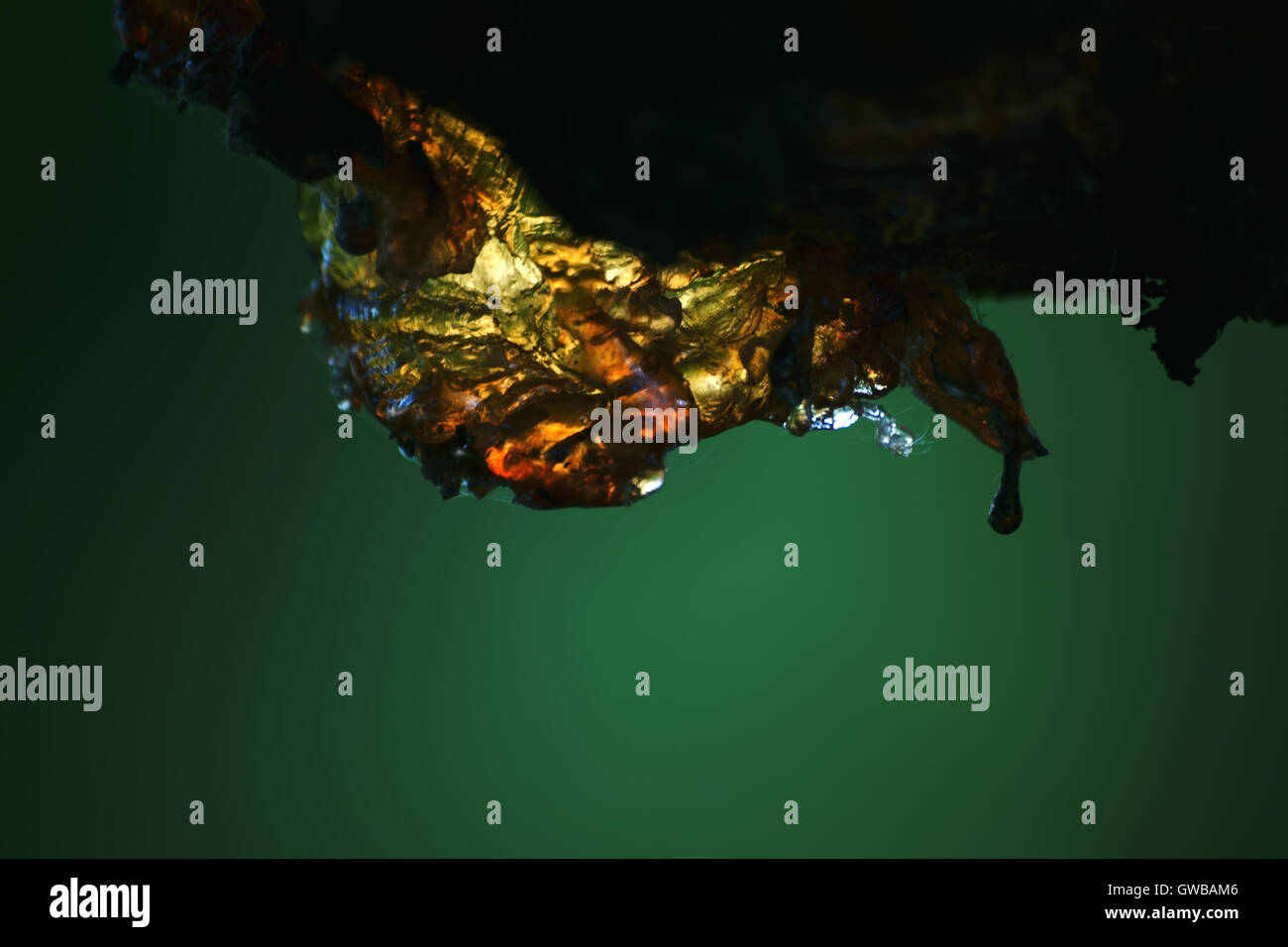 Solid resin hi-res stock photography and images - Alamy