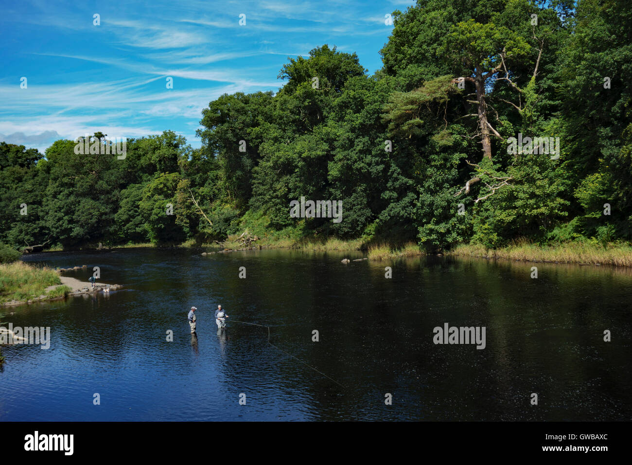 Anglers fishing in the River Cree near Newton Stewart and Minnigaff in ...