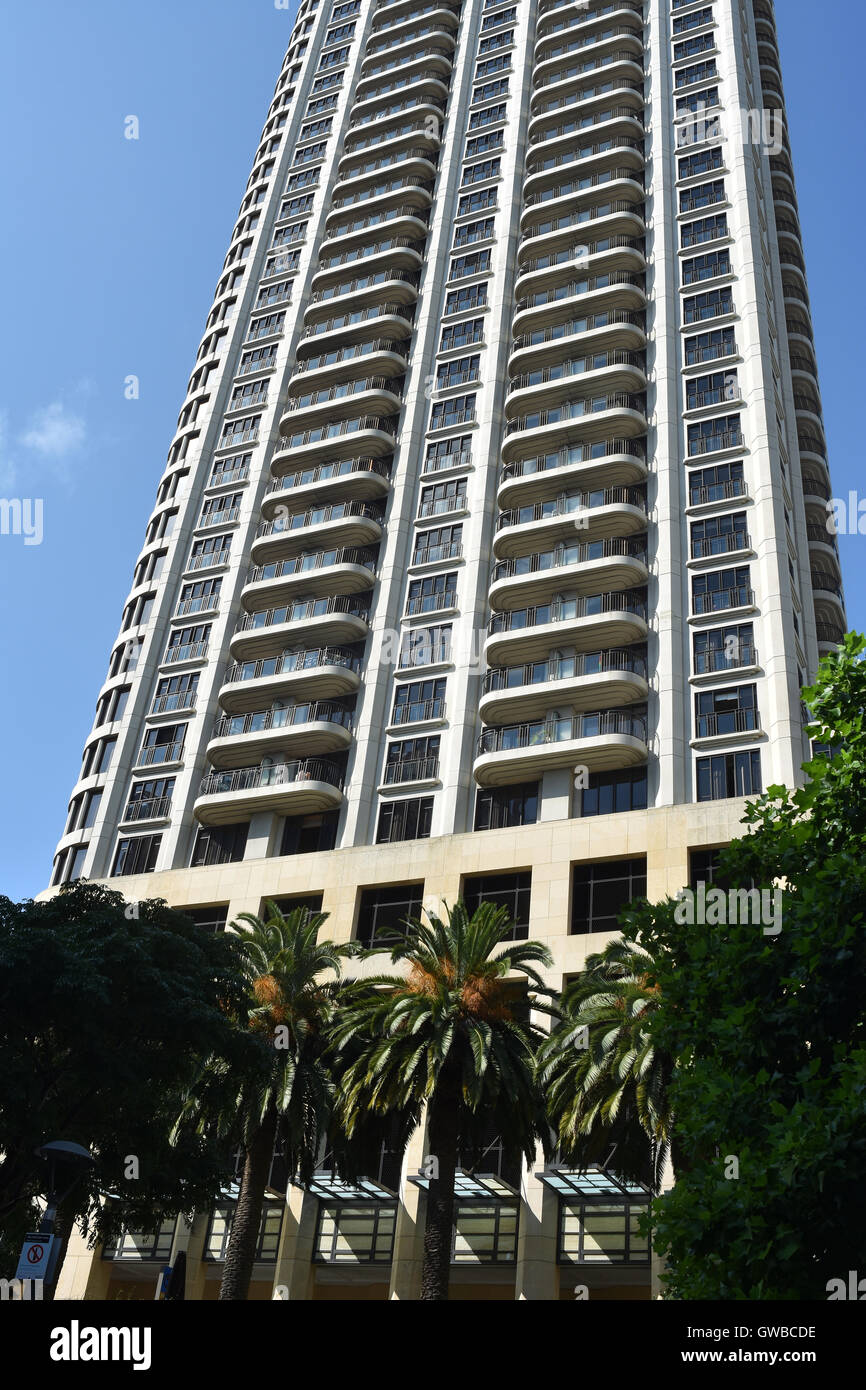 Skyscraper among trees hi-res stock photography and images - Alamy