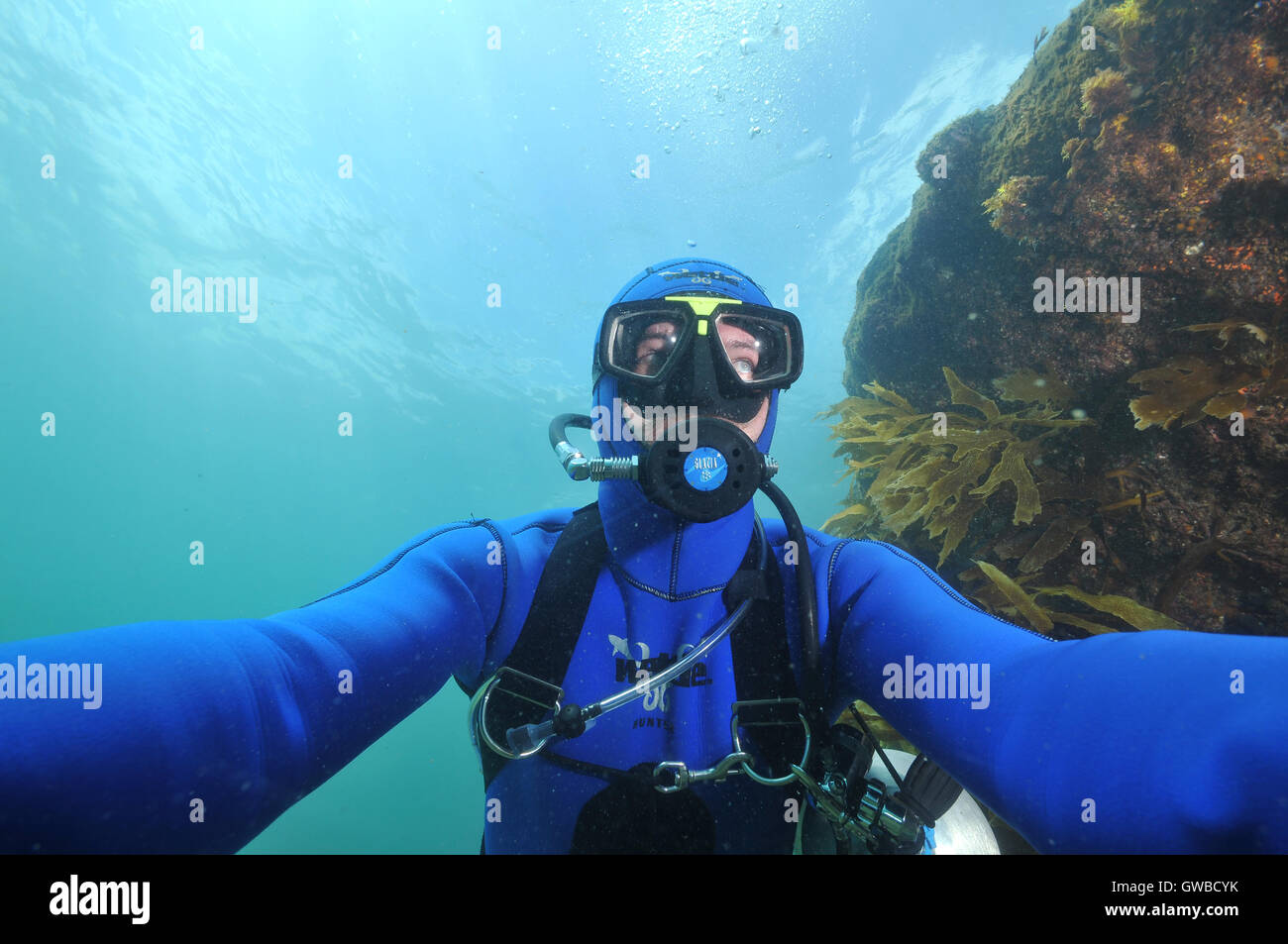 Scuba diver wearing blue wetsuit descends along rocky reef Stock Photo ...