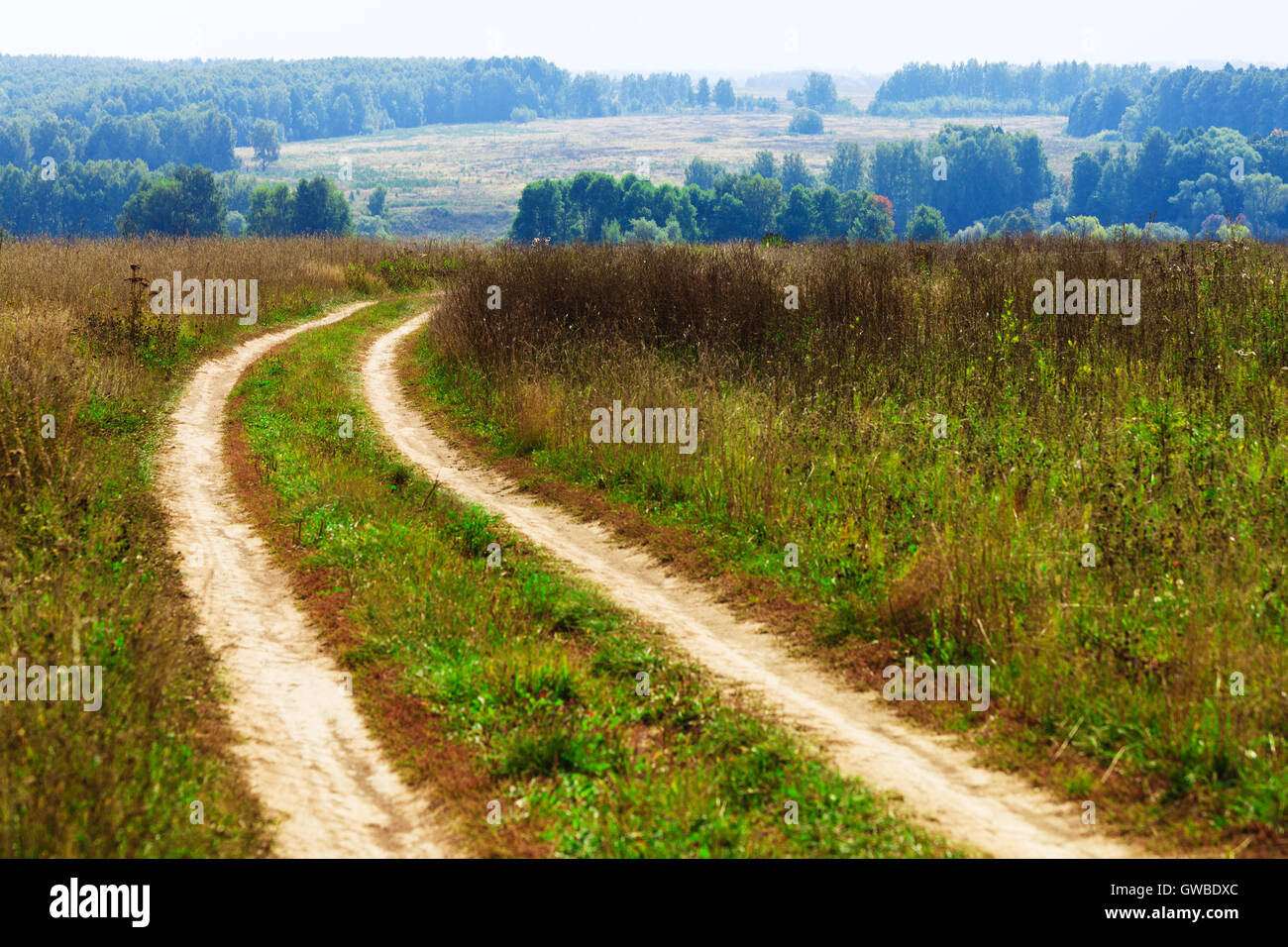 Country paths