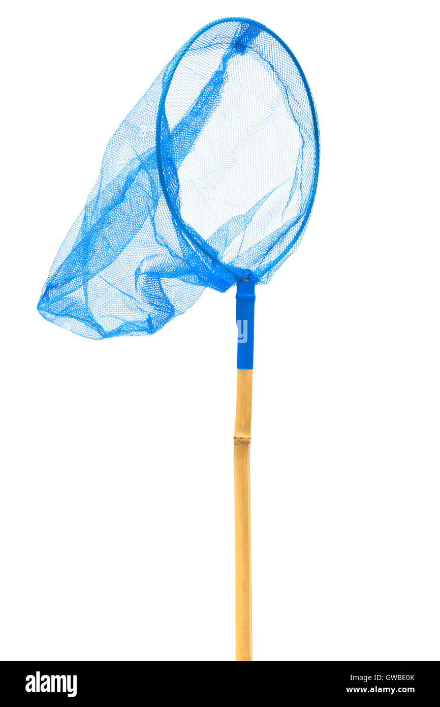 blue butterfly net on a white background Stock Photo - Alamy
