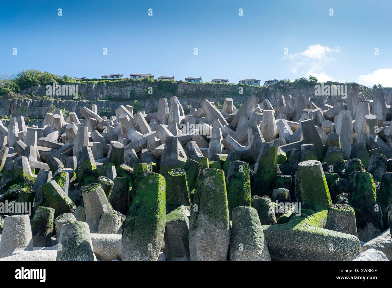 Concrete Dolosse sea defence units or interlocking Knuckle bones on the ...