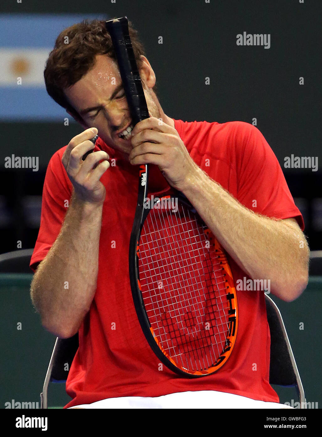 Andy murray bites his racket hi-res stock photography and images - Alamy