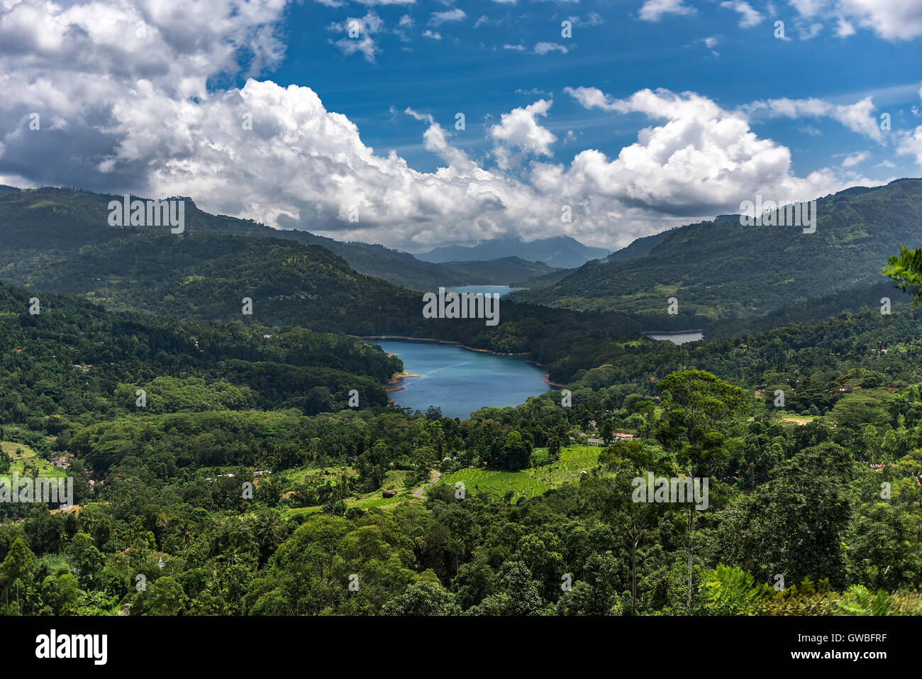 Beautiful Scene from Nature Stock Photo - Alamy