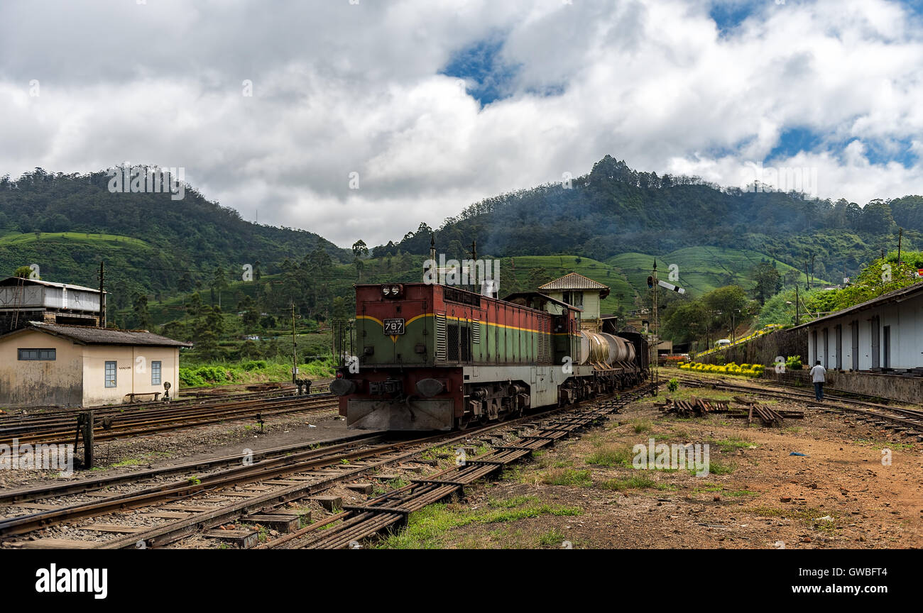 Beautiful Scene from Nature Stock Photo - Alamy