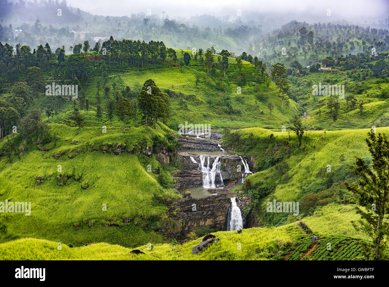Beautiful Scene from Nature Stock Photo - Alamy