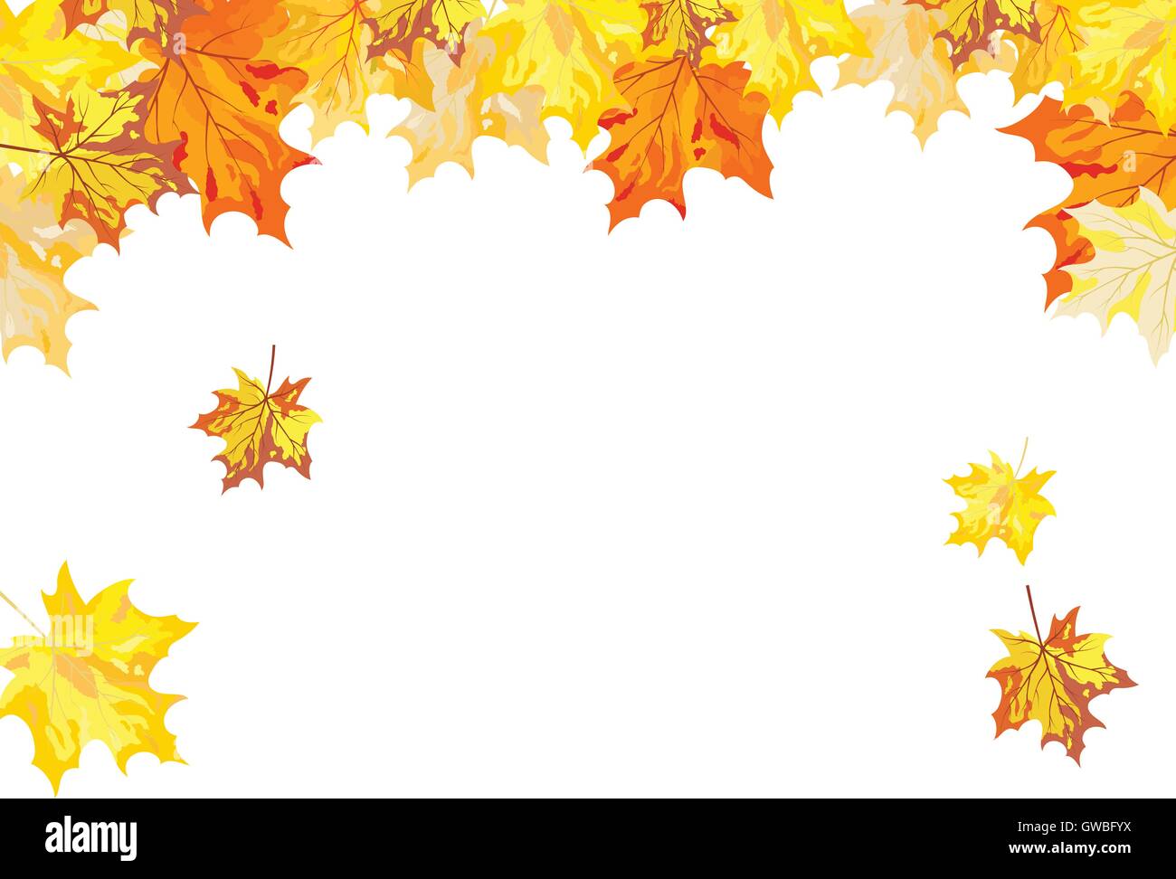 Autumn Frame With Falling Maple Leaves on White Background. Elegant ...