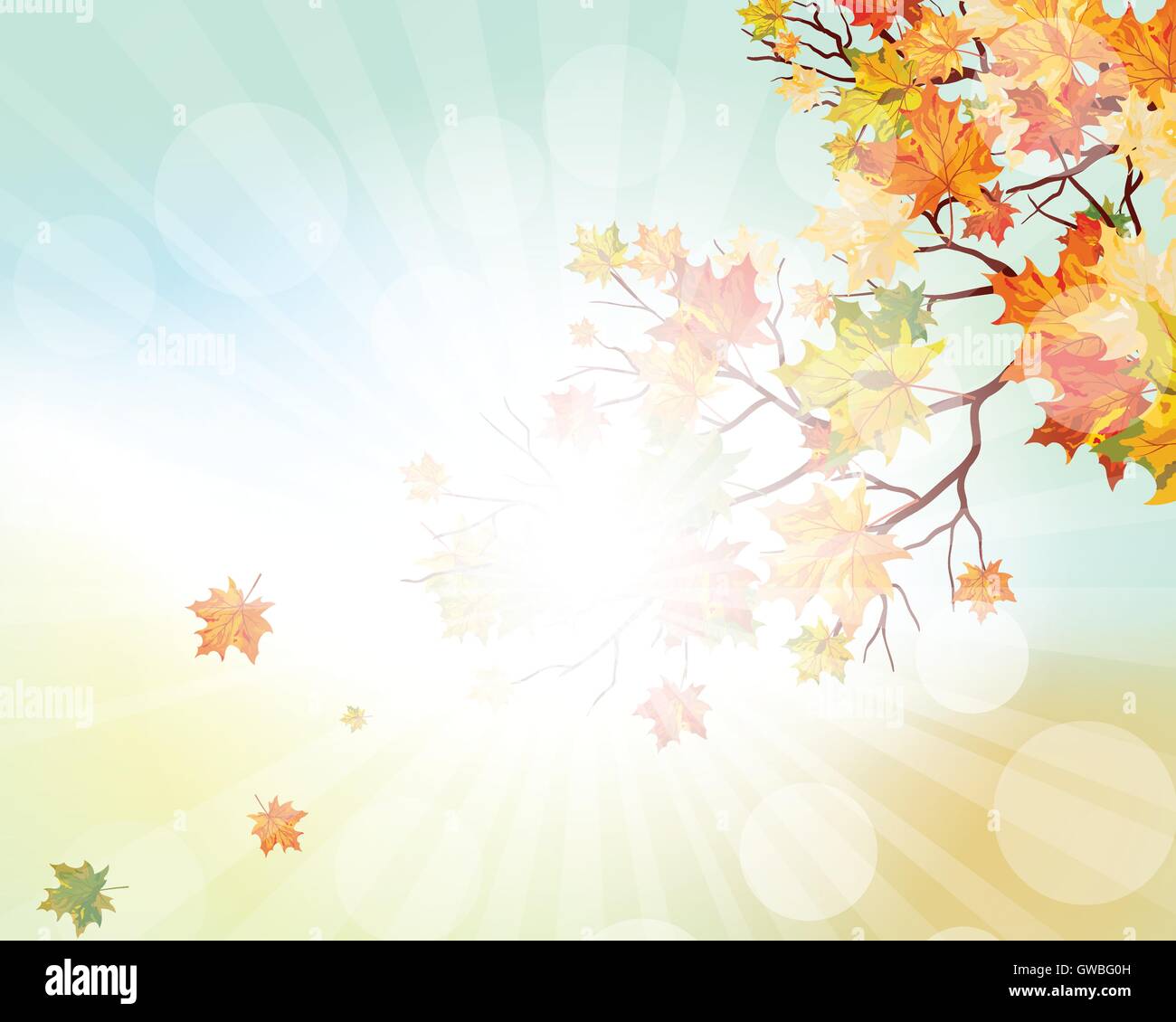 Autumn Frame With Falling Maple Leaves on Sky Background. Elegant ...