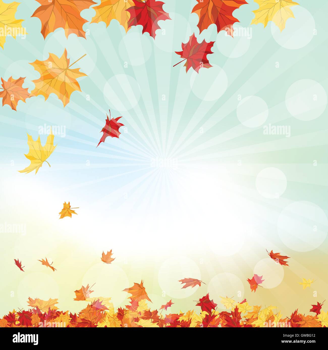 Autumn Frame With Falling Maple Leaves on Sky Background Stock Vector ...