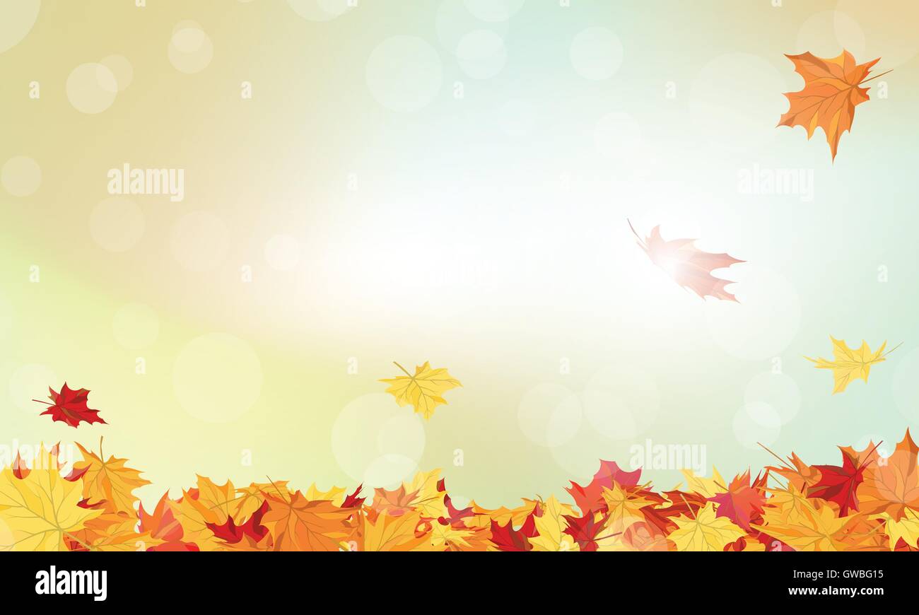 Autumn Frame With Falling Maple Leaves on Sky Background Stock Vector ...