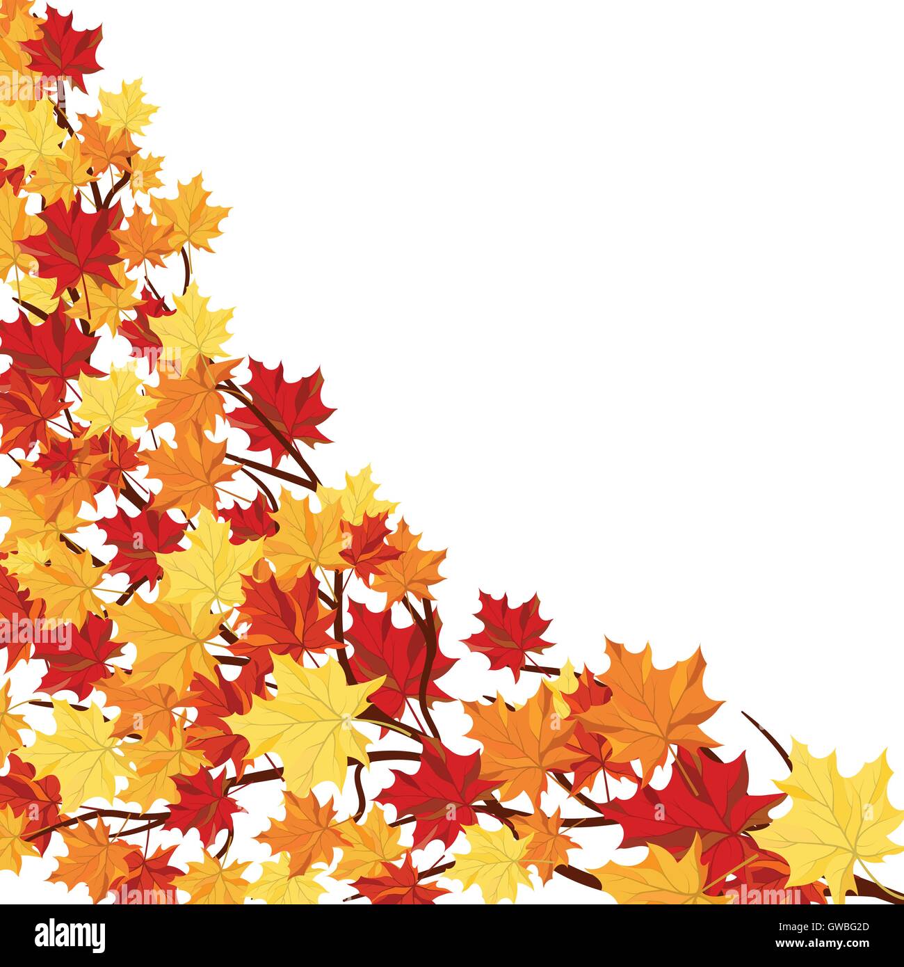 Autumn Frame With Maple Leaves on Branches of Tree Over White ...