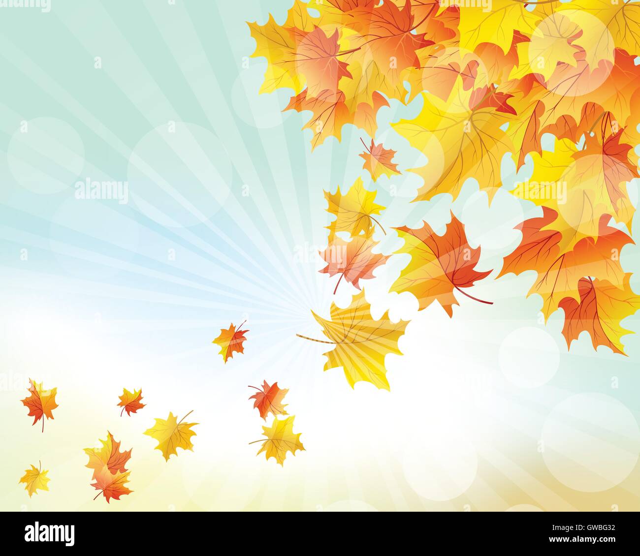Autumn Frame With Falling Maple Leaves on Sky Background. Elegant ...